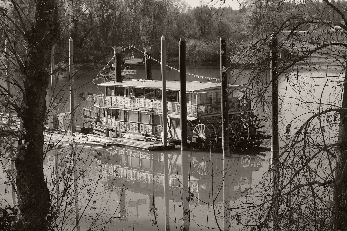 prime, prime, everywhere a prime... - Page 1211 - PentaxForums.com